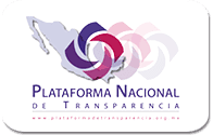 Instituto Tecnológico de Saltillo